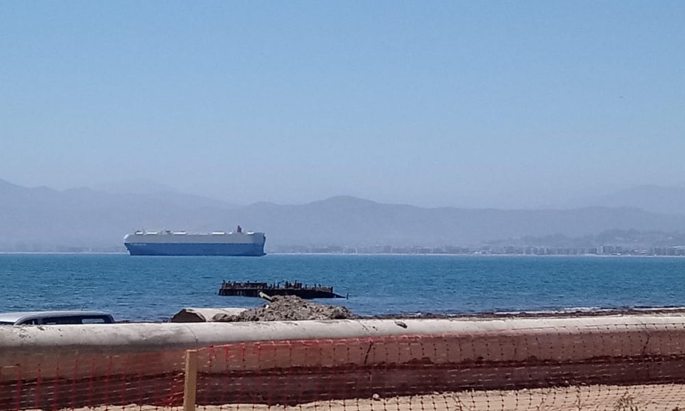 Gracious Ace: Cuarto buque con automóviles que llega al Puerto de ...