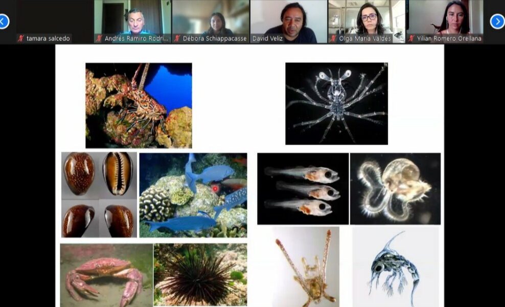 Podcast sonidos oceánicos permitirá conocer patrimonio natural de las ...