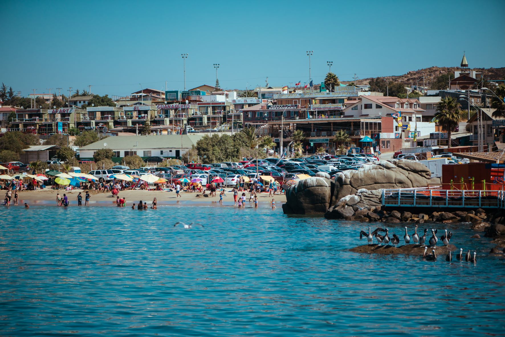 Guanaqueros ofrece diversas experiencias turísticas y buenos precios ...